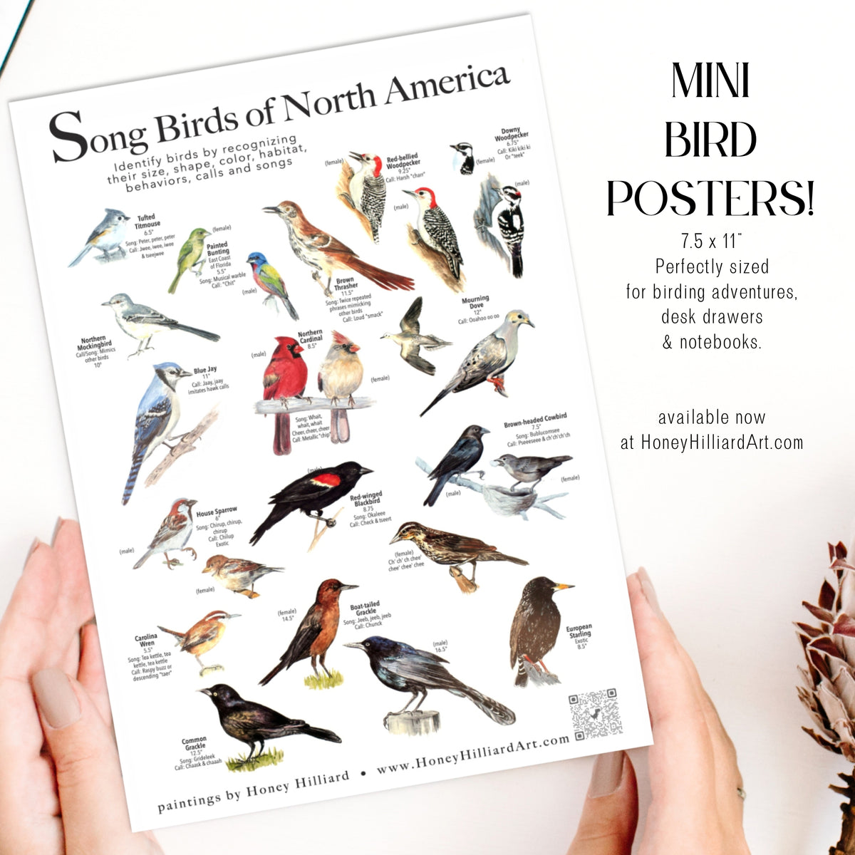 Mini Bird Poster – Honey Hilliard Art
