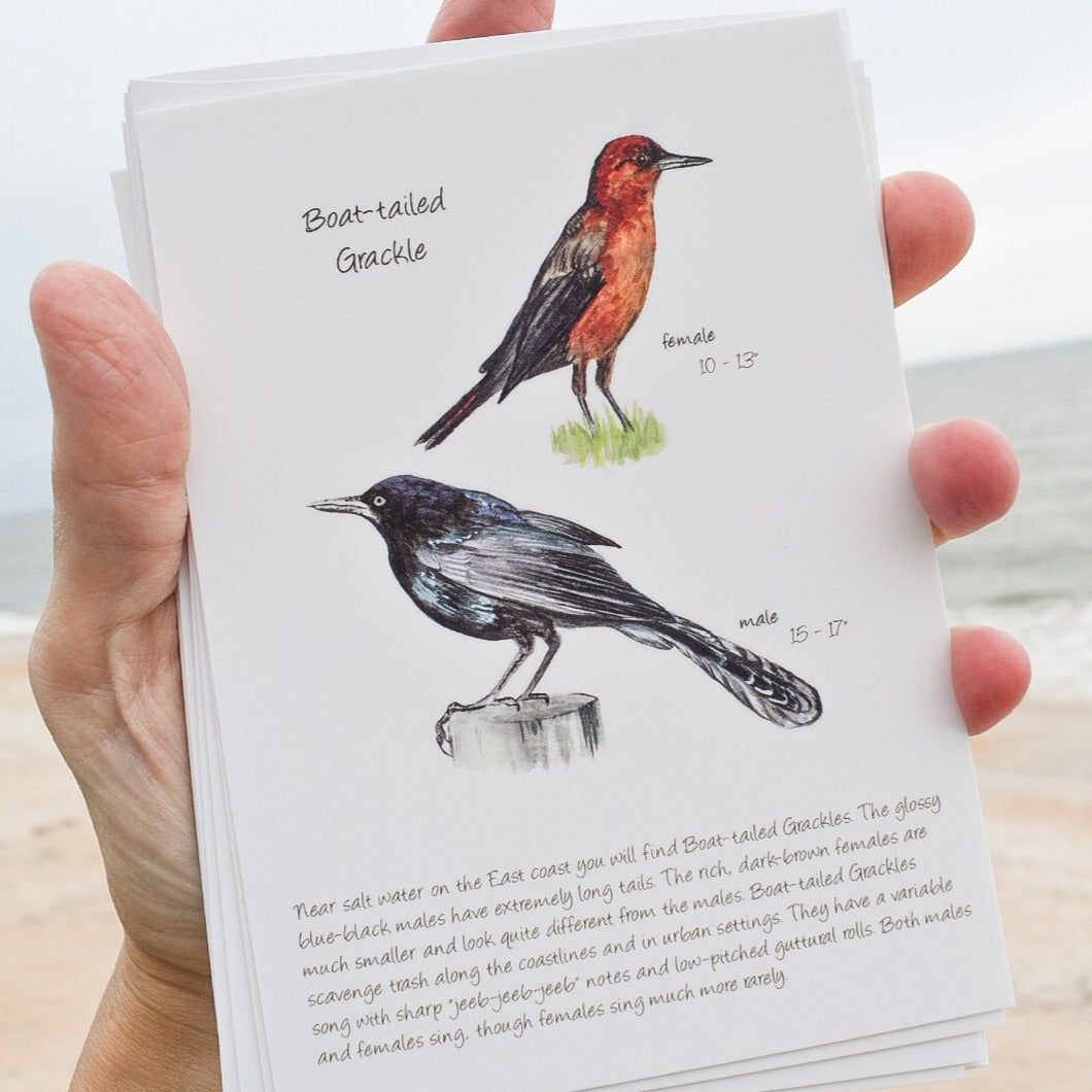 Songbird Note Cards Vol 1 – Honey Hilliard Art
